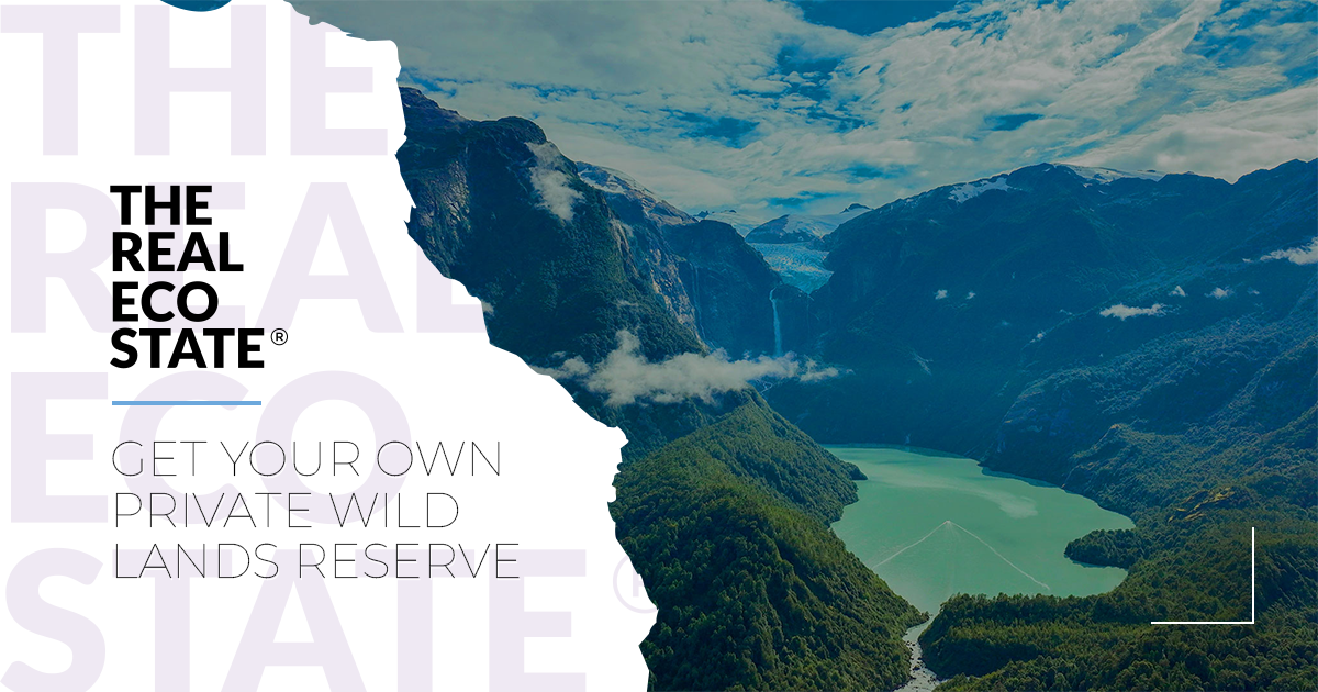 The Real Eco State | Invest and take care of nature
