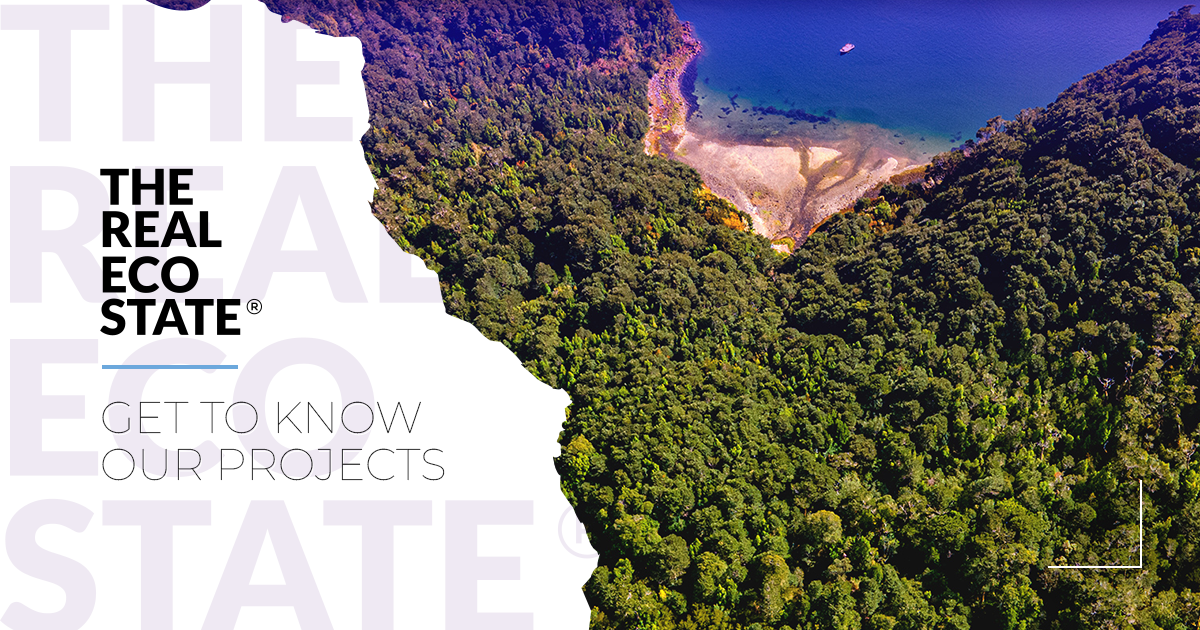The Real Eco State | Project list